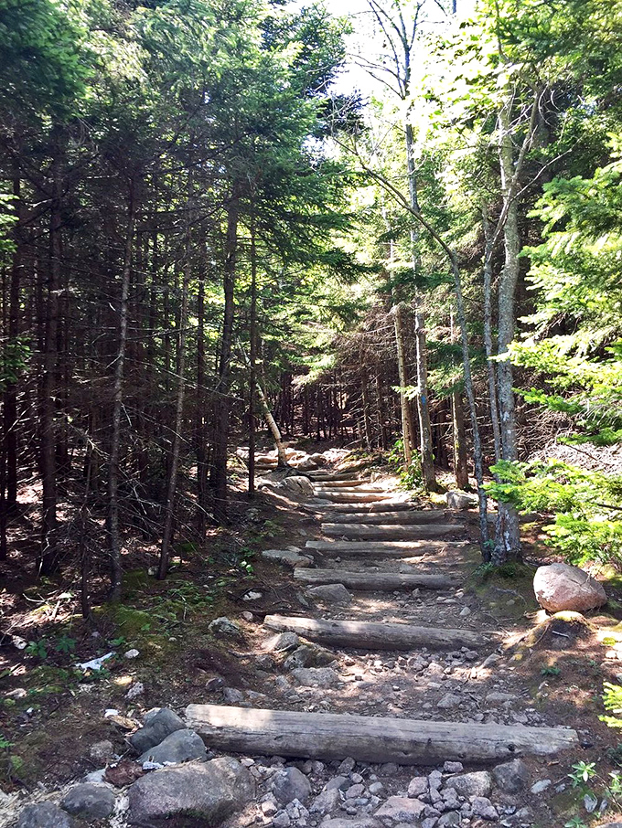 Who needs GPS when you're following the trail to nature's perfect swimming hole?