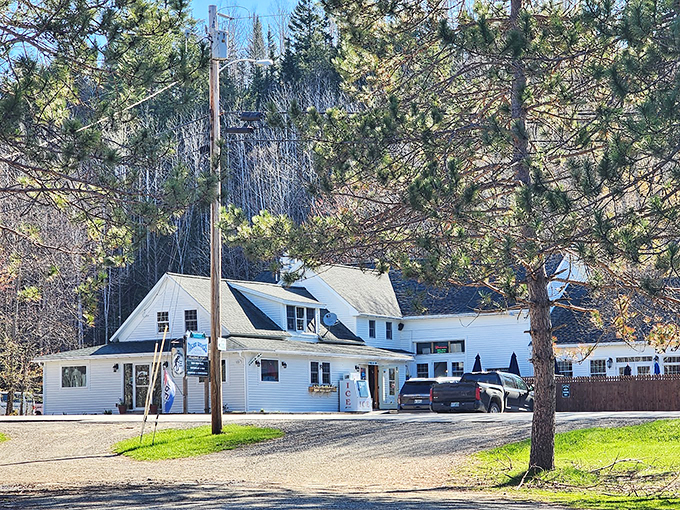 Road trip bingo: Rapids, paintball, and disc golf all in one stop!