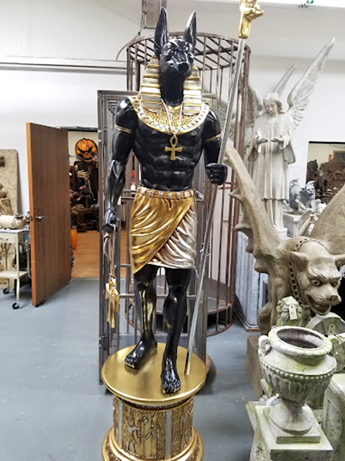 Anubis, the ancient Egyptian god of afterlife, stands guard. He's got that "I woke up like this" look nailed down for eternity.