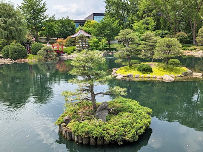 Nature's bonsai garden or Minnesota's tiniest forest? These meticulously pruned trees are living proof that good things come in small packages.