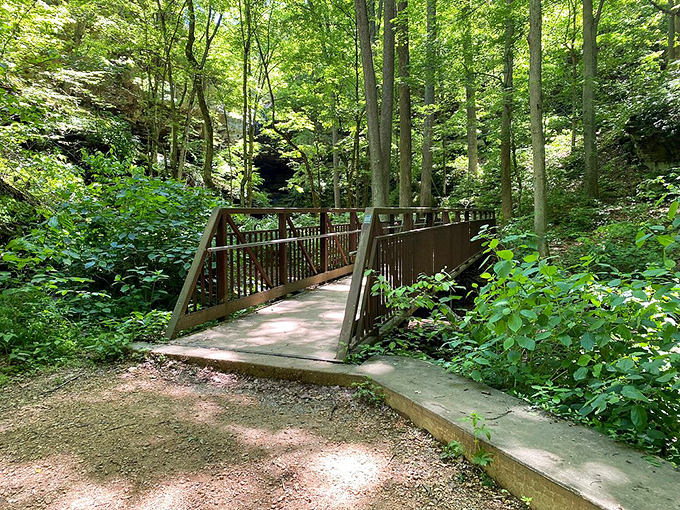 Bridge over untroubled water: This wooden walkway isn't just a bridge &ndash; it's a portal to your next great adventure. Simon and Garfunkel would approve.
