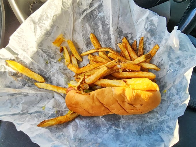 Behold, the Chicago-style hot dog in its natural habitat. Notice how the fries nestle protectively around their meaty companion.