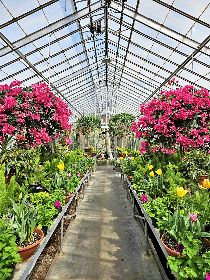 "Bloom with a view." Step into this greenhouse and feel like you've entered a floral snow globe. Mary Poppins would approve!