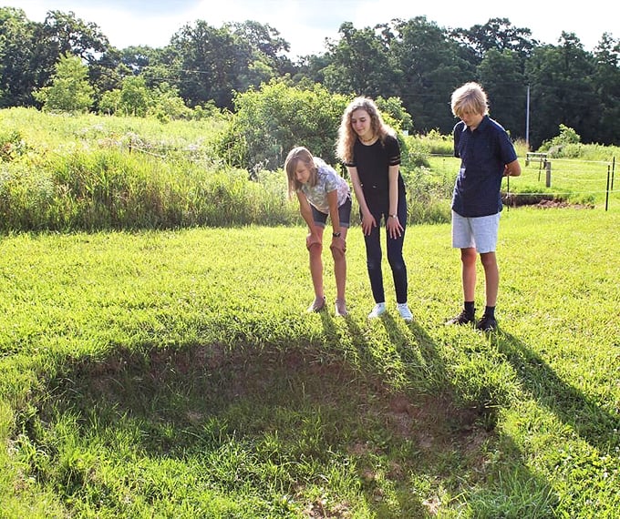 Nature's own magic trick! This mini sinkhole is like Earth's way of saying, "Watch your step!" It's a geological reminder that the ground isn't always as solid as it seems.