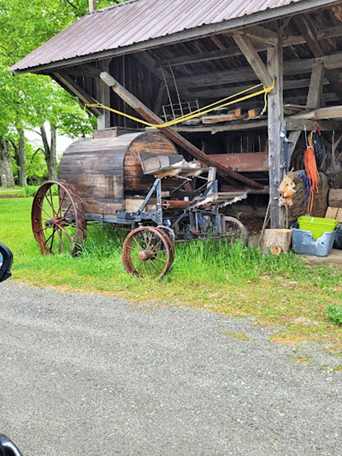 Rusty gold! This shed full of vintage farm tools is like a playground for history buffs and tetanus shot enthusiasts alike.