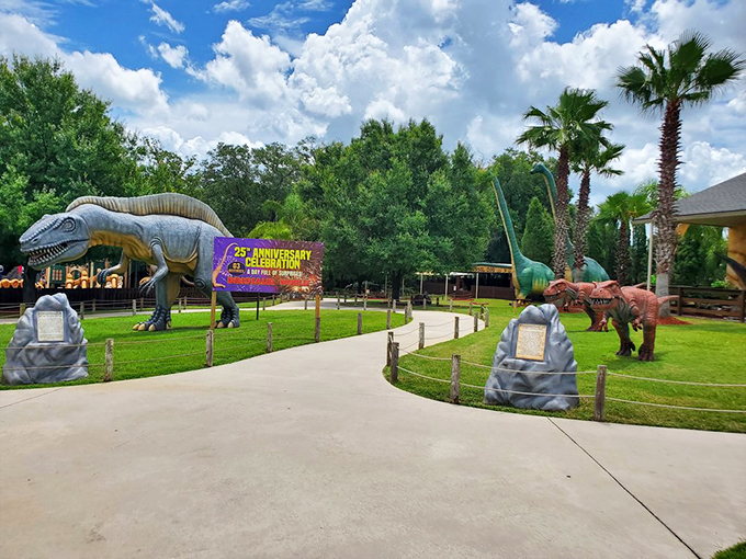 Follow the prehistoric yellow brick road! This path leads to dino-mite adventures, no ruby slippers required.