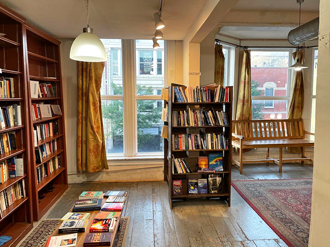 Ascend to new literary heights! The second floor of Myopic Books is a treasure trove of stories waiting to be discovered.