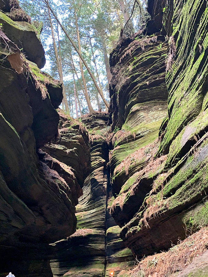 It's like the Grand Canyon decided to go vertical! These towering rocks make you feel like you've shrunk down to ant-size.