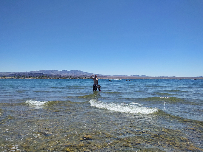 Desert beach day: Who needs palm trees when you've got saguaros as your lifeguards?