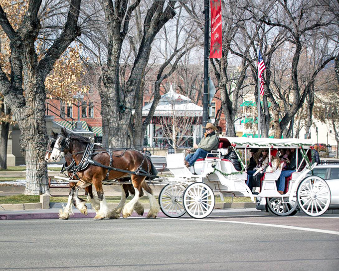 Giddy up and jingle all the way: Nothing says "Christmas in the Old West" like a horse-drawn carriage ride through town.