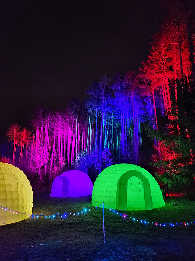 Igloo or UFO? These glowing domes look like cozy alien outposts. E.T., is that you throwing a house party?
