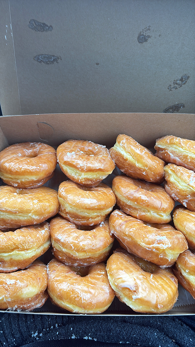 Glazed and confused? These golden rings of joy are here to brighten your day, one bite at a time.