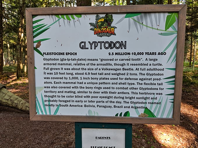 Who knew learning could be this fun? Discover fascinating facts about our planet's ancient inhabitants.