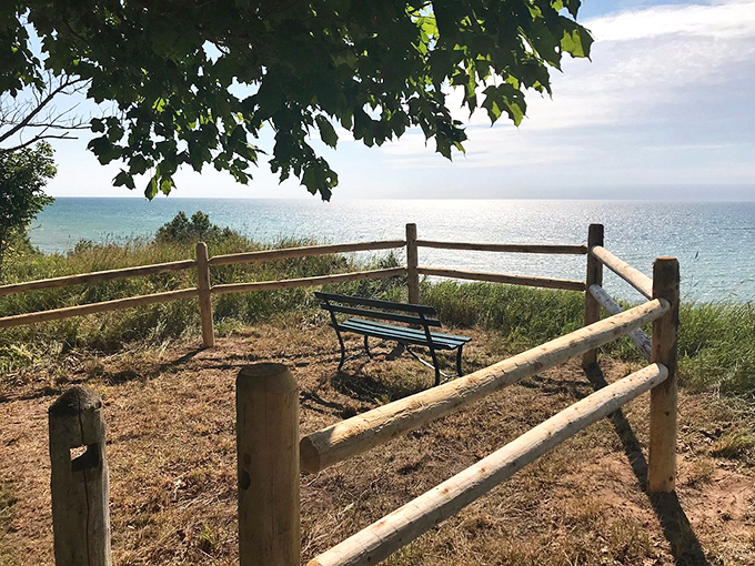 Who needs a corner office when you've got this view? Nature's panorama beats any screensaver, hands down.