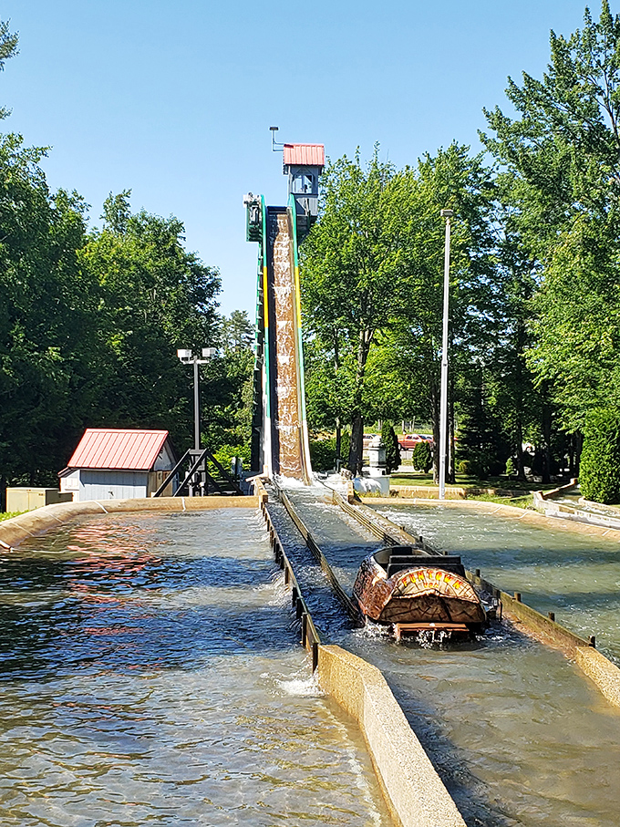 Thunder Falls Log Flume: because nothing says "summer fun" like hurtling down a watery track in a hollowed-out tree trunk.