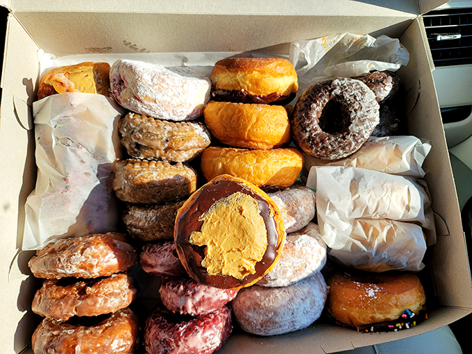 Donut nirvana achieved! This box of joy contains more circles of happiness than a geometry textbook.