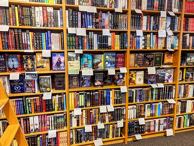 A rainbow of spines beckons, each book a portal to another world. Choose your adventure!