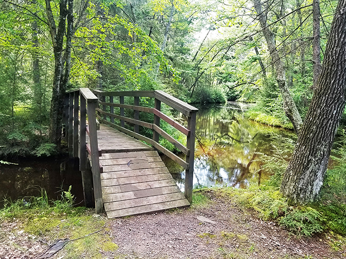 Bridge over tranquil waters: Not troubled, just incredibly relaxed. It's like yoga for your eyes and soul combined.