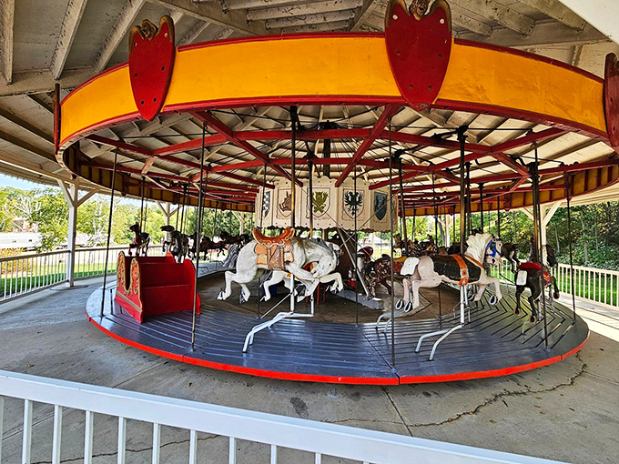 Round and round we go! This charming carousel isn't just horsing around &ndash; it's a whimsical piece of circus history.
