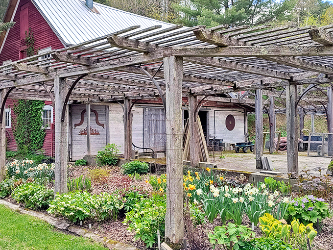 Mother Nature's showing off again! This wooden pergola is like a catwalk for flowers &ndash; strutting their stuff in a dazzling spring fashion show.