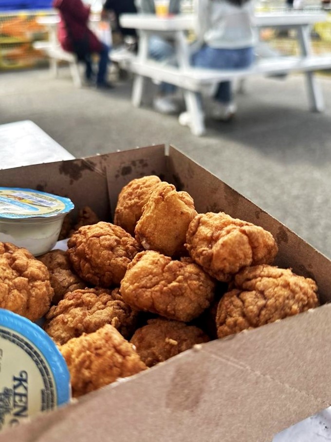 Fried scallops: nature's candy of the sea. These golden nuggets are so good, they might make you consider a career change to professional scallop taster.