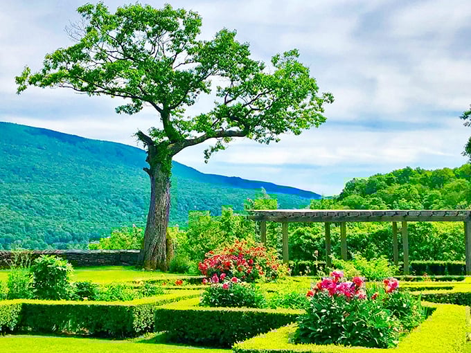 Mother Nature's chess game! This meticulously manicured garden puts my attempts at topiary to shame. Time to up my hedge-trimming game!