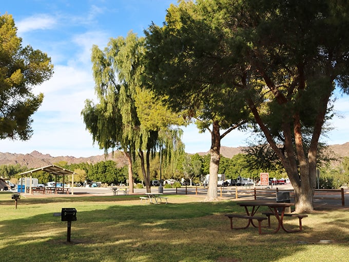 Picnic perfection: Shaded tables with a side of stunning views. It's like dining al fresco in a postcard, but watch out for clever ravens!