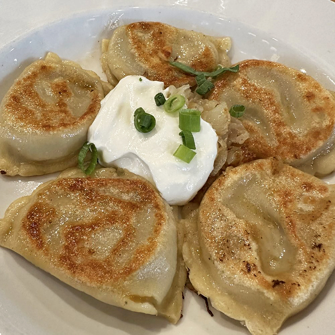 Pierogi perfection! These little pockets of joy are like edible pillows stuffed with happiness and a dash of Old World charm.