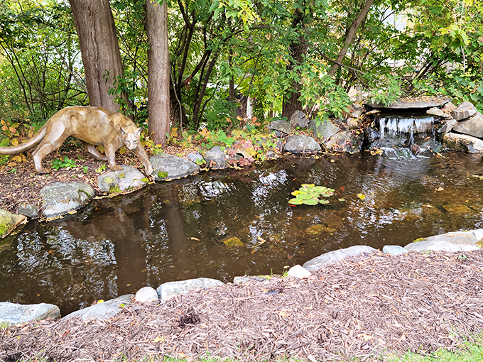 Nature's own masterpiece! This serene pond scene is like a living canvas, complete with a stone cougar ready to lap up the tranquility.