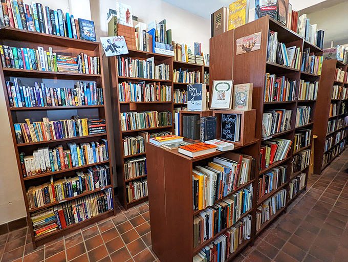 A feast for the eyes and the mind. These shelves are stacked higher than a Jenga tower in the final round.