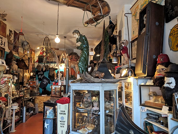 Where else can you find a mannequin partying with taxidermy? It's a still life that's anything but still, and far from ordinary.