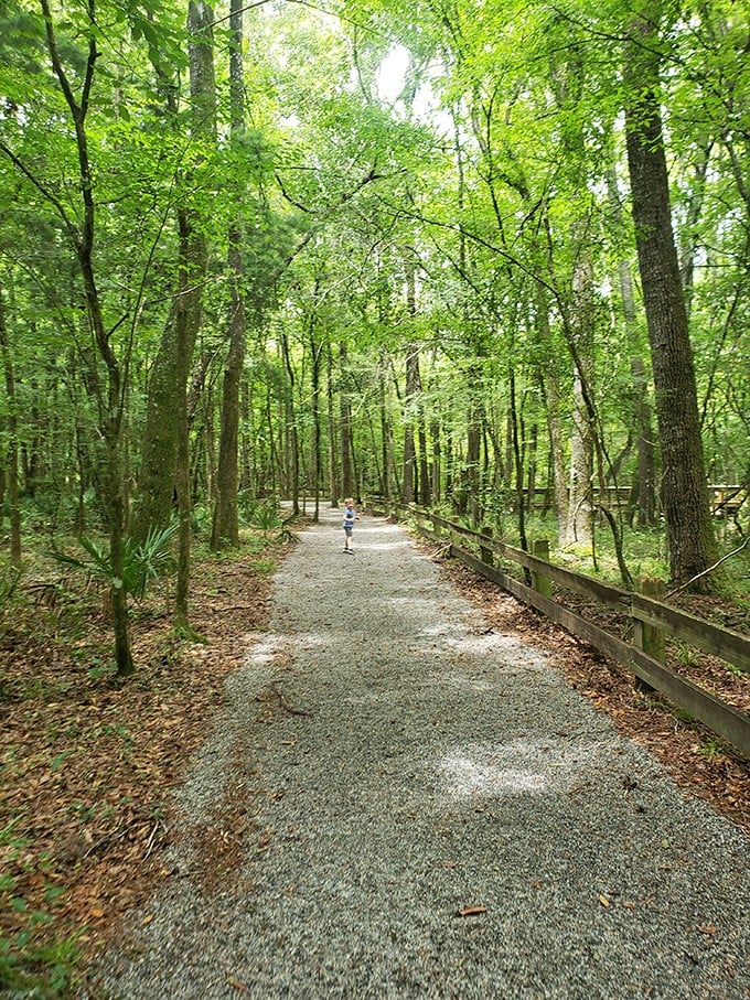 This trail's smoother than a jazz saxophone solo. Time to channel your inner Forrest Gump and just keep walking!