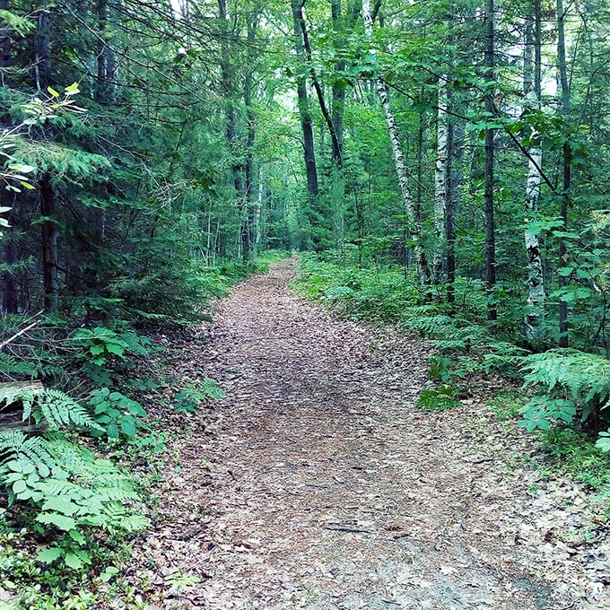 Follow the path less traveled... literally. This trail promises more twists and turns than a season of "Stranger Things."