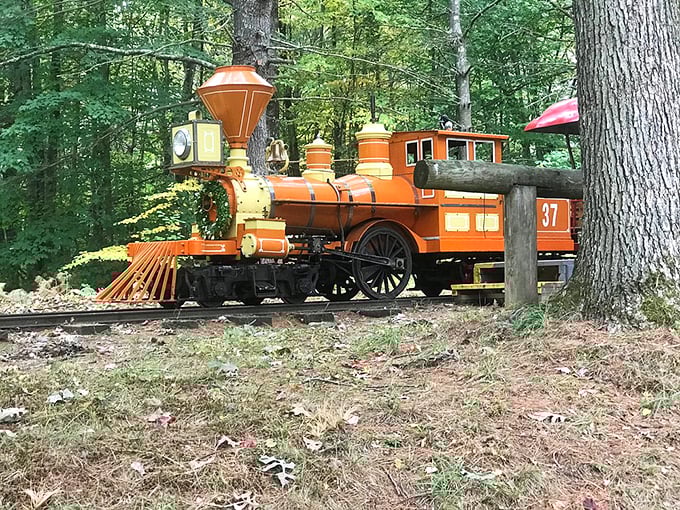 All aboard the Polar Express! Well, not quite, but this cheerful locomotive promises a jolly good ride through Santa's domain.