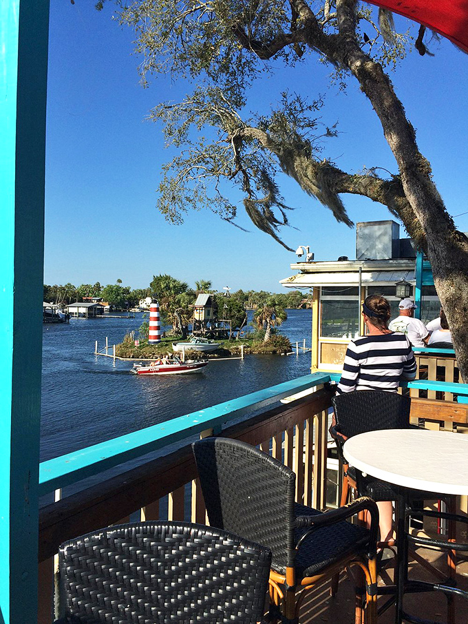 Forget people-watching; monkey-watching is the new Florida pastime. And the view's not bad either!