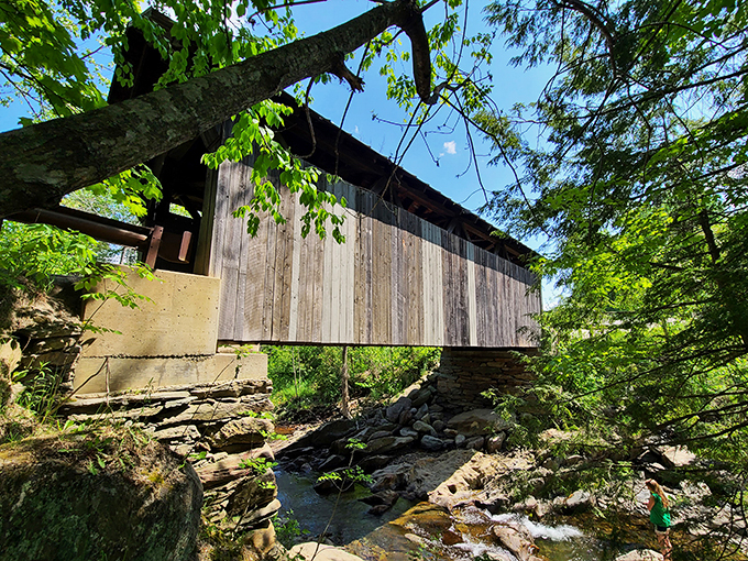 Wooden wonders: These walls have more stories than a bookstore, and they're not afraid to creak about it.