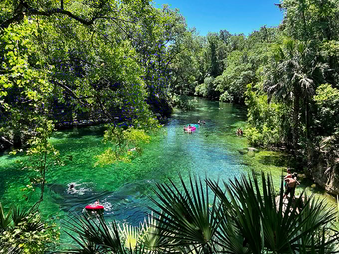 Cruise into an underwater paradise! Blue Spring is the pit stop that'll make you forget about your destination.
