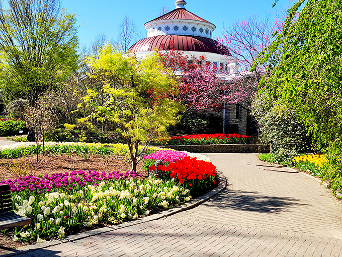 Cruise into a living rainbow! This zoo-tanical garden is where the rubber meets the roses (and the rhinos).