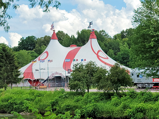 Step right up to where the big top never comes down. It's all the circus magic without the sawdust in your shoes.