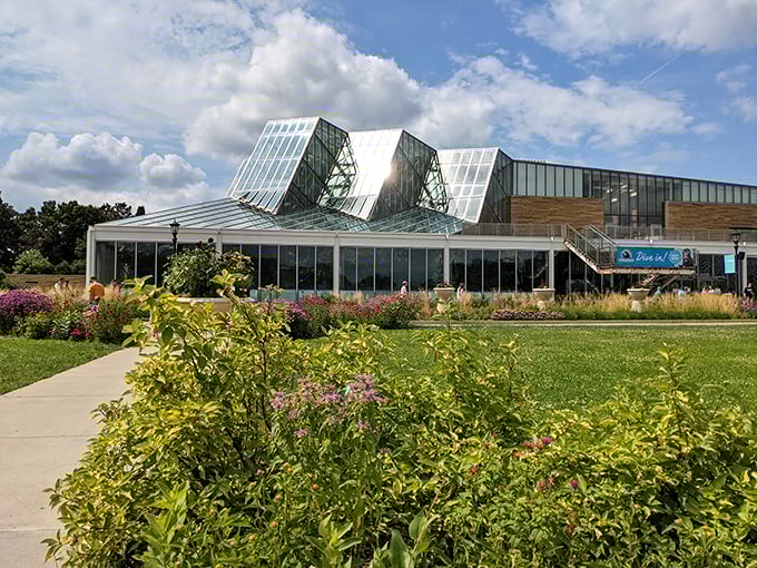 The ultimate pit stop for animal lovers and plant enthusiasts. It's a jungle out there &ndash; literally!