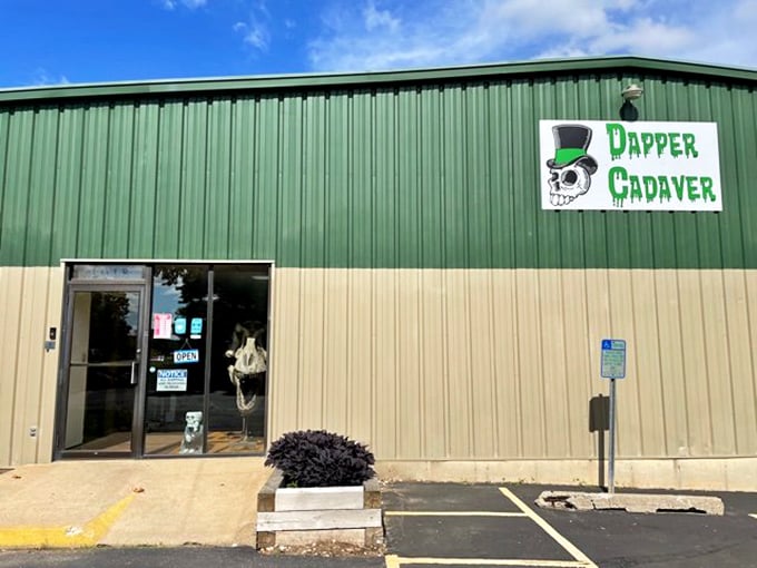 Detour into the delightfully dark side of dining. This eerie eatery is a hauntingly good pit stop!