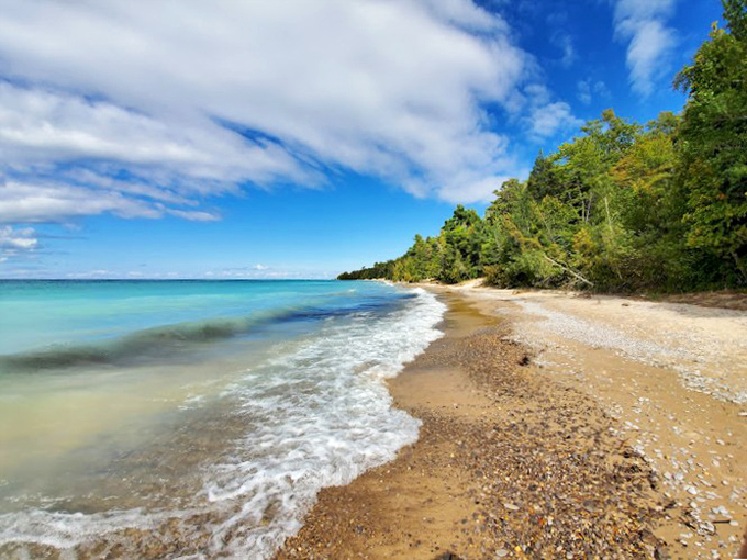 Fisherman's Island State Park Beach: Miles of pristine shoreline dotted with nature's own art installation &ndash; driftwood galore!