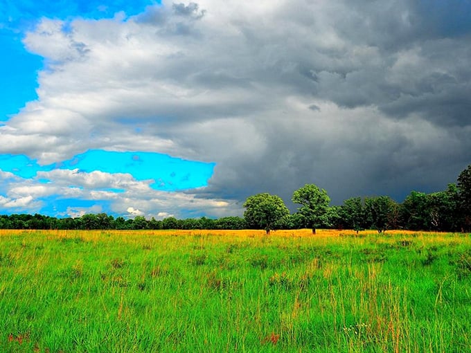 Pull over at this scenic overlook and watch the Mississippi wind its way through the valley.