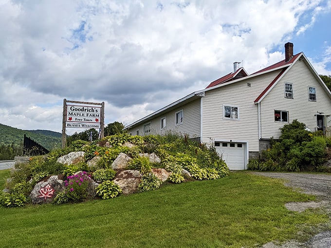 Goodrich's Maple Farm: Where barns wear their age like fine wine, and syrup flows like liquid sunshine.
