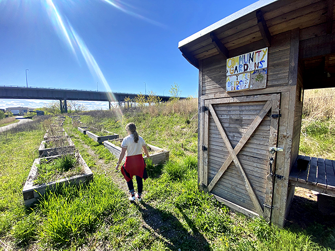 Community gardens on the Hank Aaron Trail: Where urban farmers grow everything from tomatoes to tall tales.