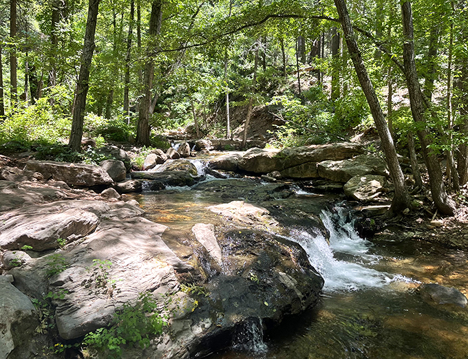 A babbling brook's serenade. Horton Creek is where forest bathing meets actual bathing.