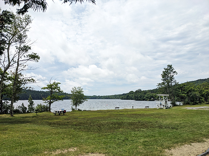Lake St. George: Where the water's so inviting, even the trees are dipping their toes in.