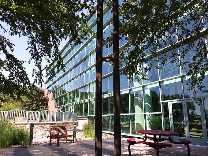 Timber! Your road trip just fell into a forest of fun at this wooden play paradise.