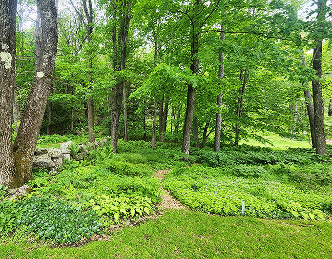 Grandpa's garden on steroids! This horticultural haven proves that some hobbies age like fine wine.