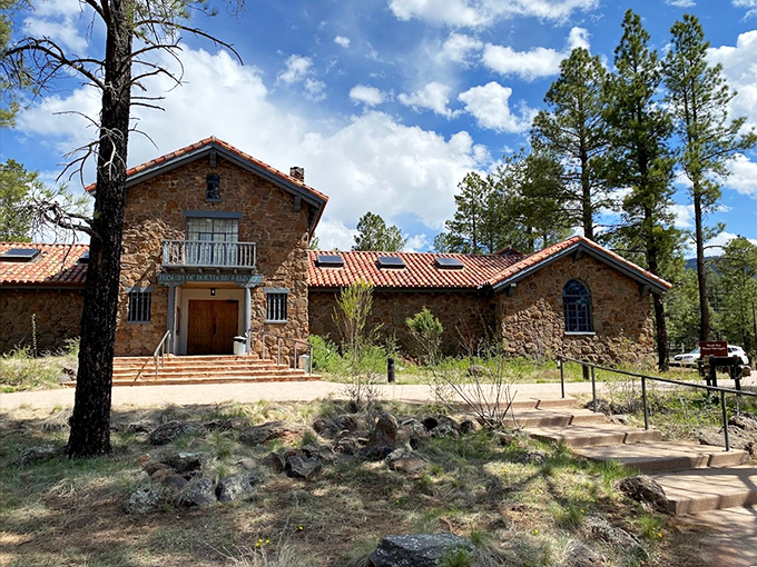 The Museum of Northern Arizona: Where the Colorado Plateau's stories come to life. T-rex selfies strongly encouraged!